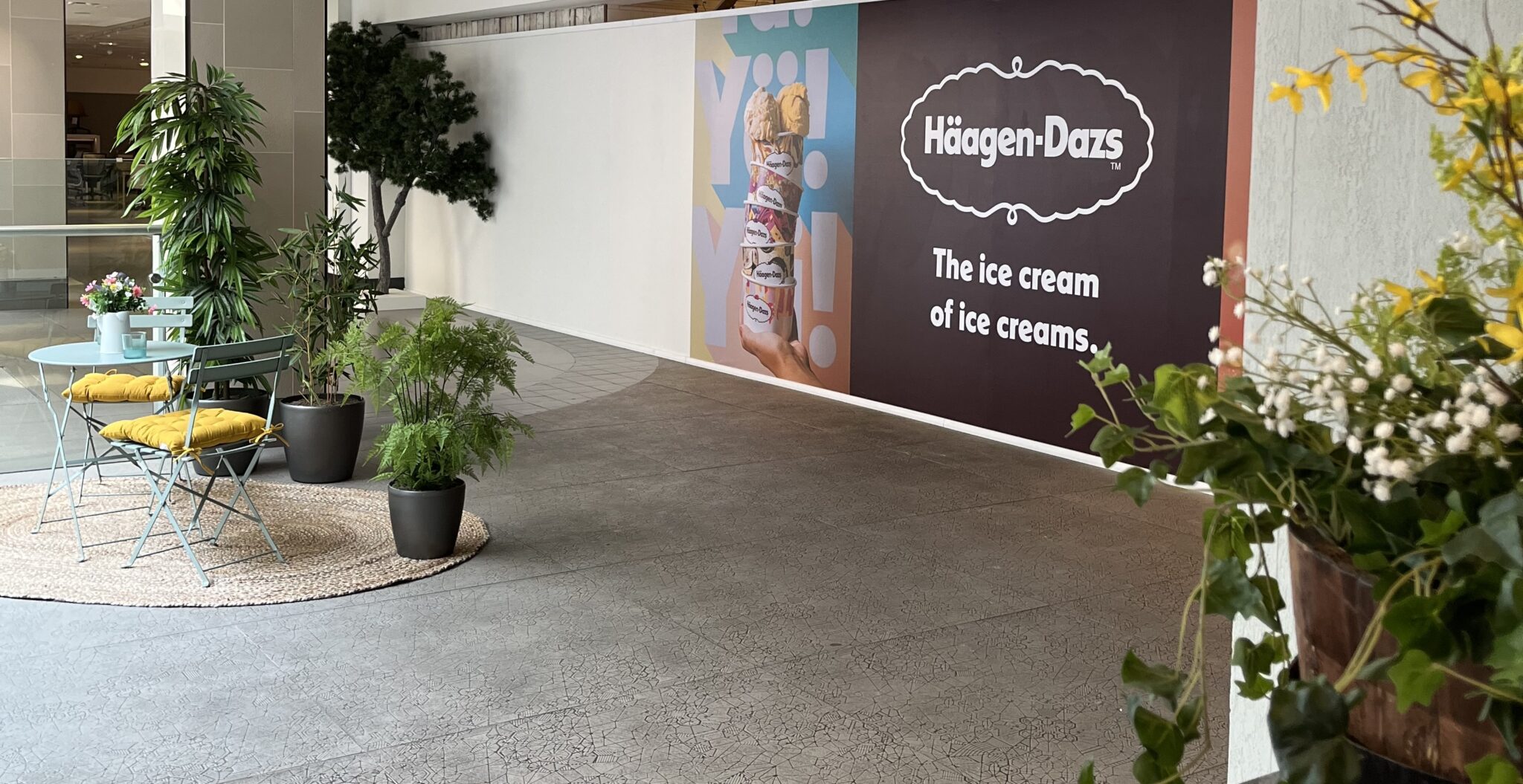 Space creates Häagen-Dazs Ice Cream shop in John Lewis - Agencyspace